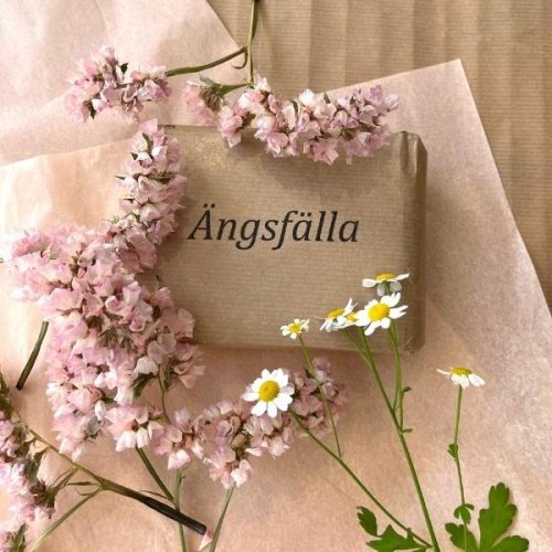 Designtorget.se | Handla inredning, presenter & utvald design online