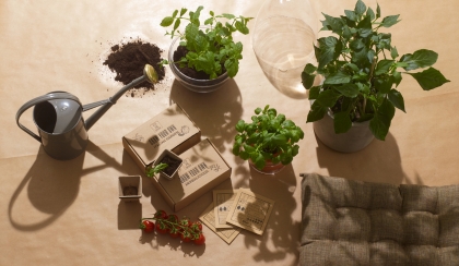 Odling : Designtorget AB